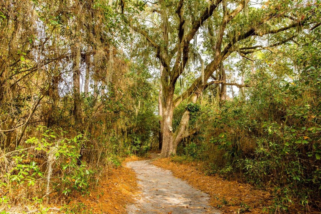 Getting Around the Island St. Simons Bike Trails | St. Simons Island